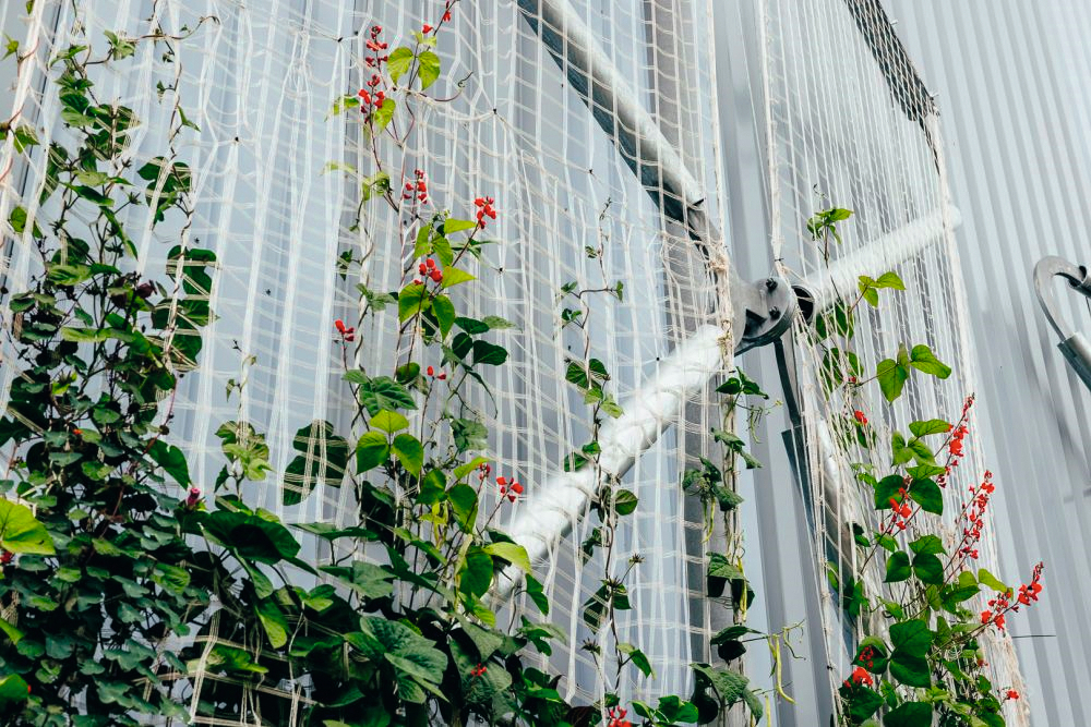 Wurst Stahlbau - metallbau – Fachzeitschrift & digitales Magazin