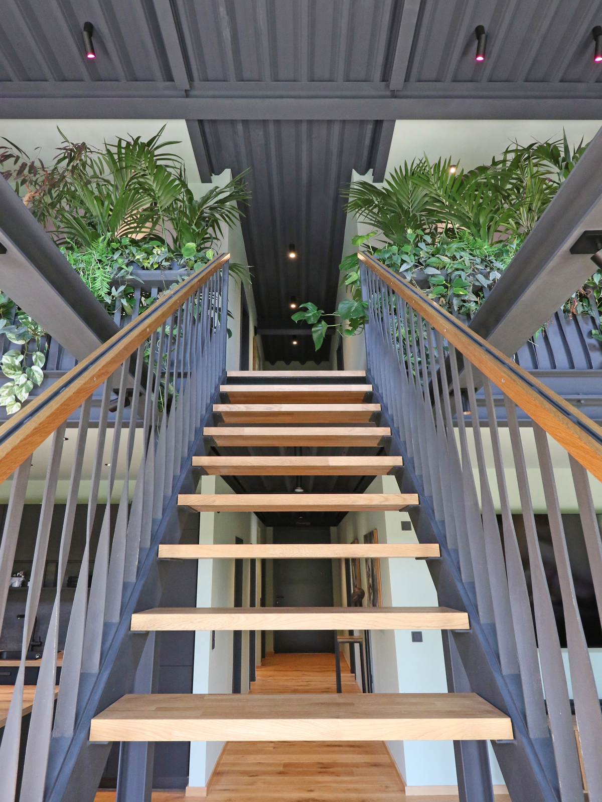 Green Steel Home - metallbau – Fachzeitschrift & digitales Magazin